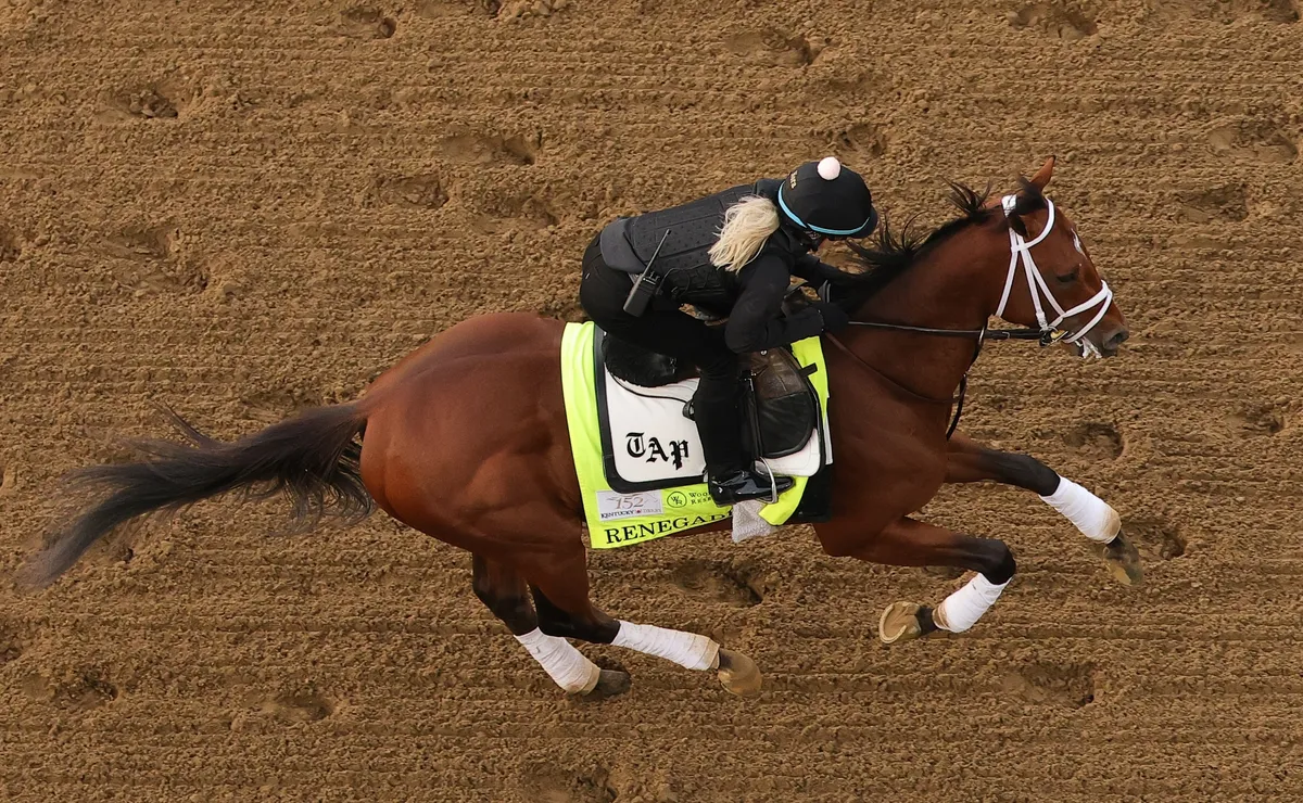 Who owns Renegade and how much is the horse worth? - Bolavip US