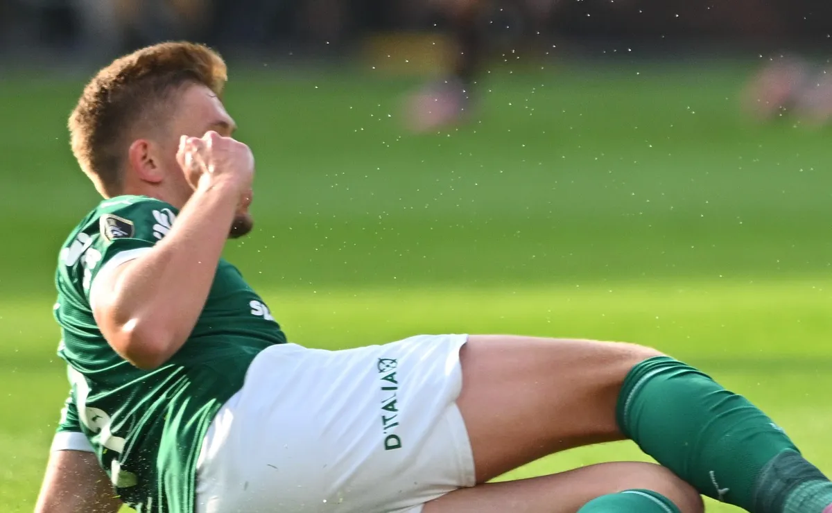 Palmeiras se irrita com arbitragem após lance polêmico contra o Flamengo